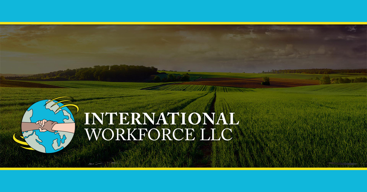 H-2A Visa Placement Program | International Workforce LLC